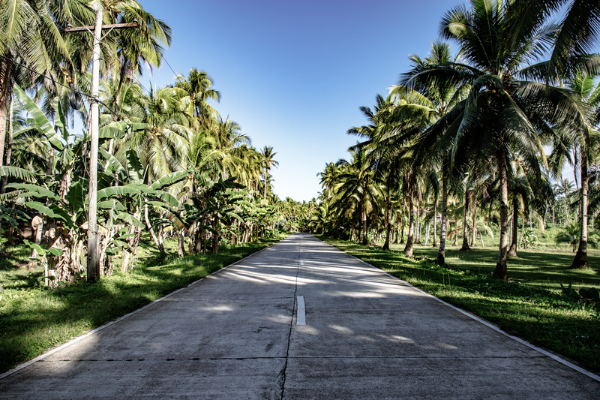 Find Your Freedom on Bali Roads With a Self-Drive Car Rental Trip ...